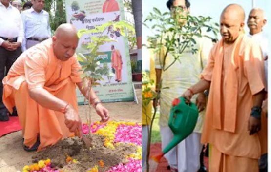 UP Govt Sets Record in Plantation and Conservation